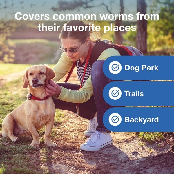 INTERCEPTOR PLUS Chew for Dogs, 8.1-25 lbs, (Green Box) - Easy Refills ...