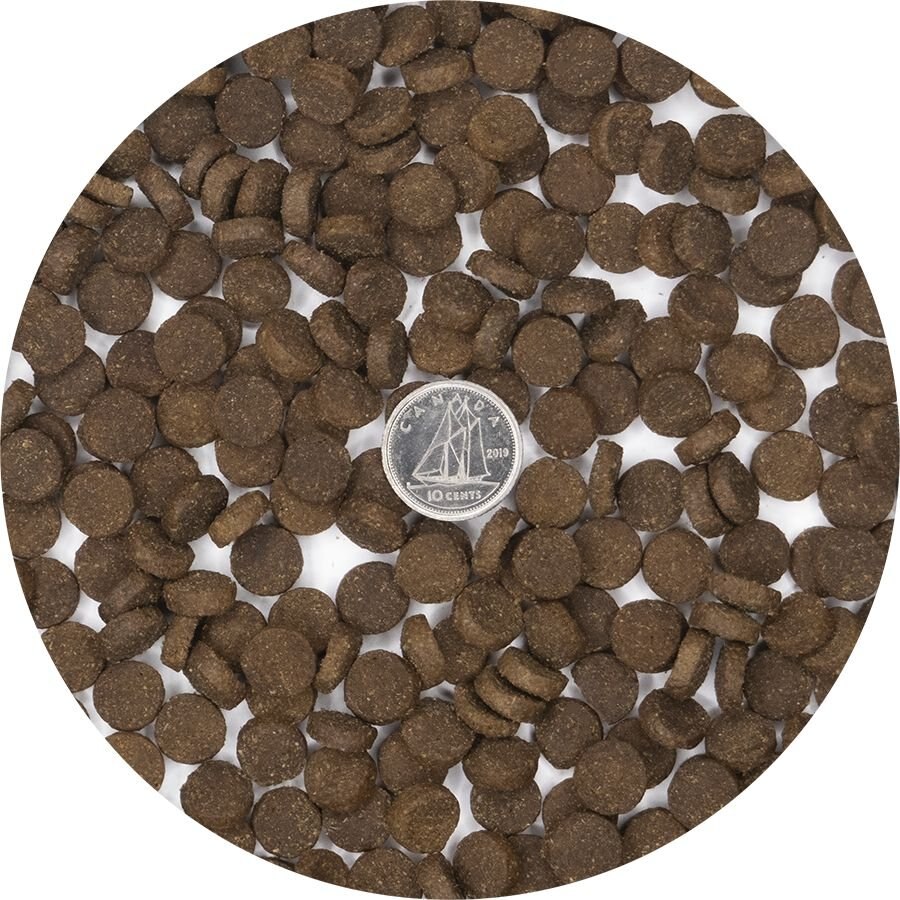 INUKSHUK Performance Marine 26/16 Dog Dry Food, 33-lb bag - Chewy.com