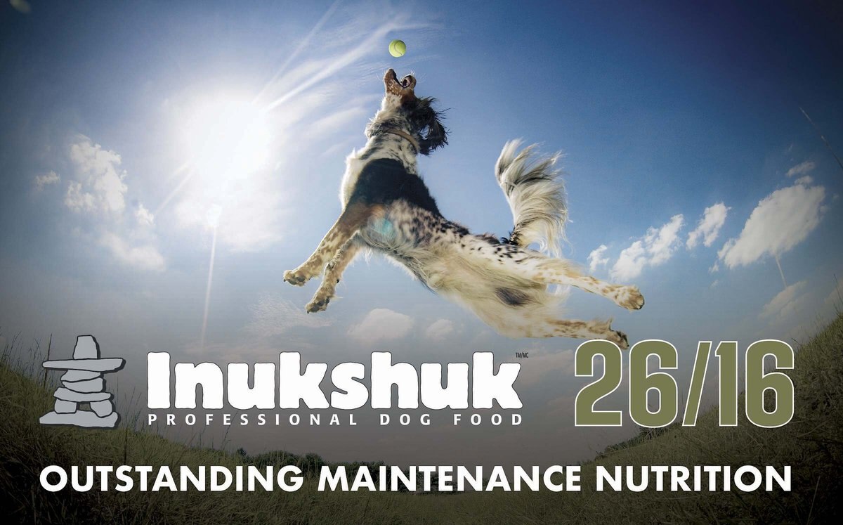INUKSHUK Professional Dry Dog Food 26/16, 33-lb bag - Chewy.com