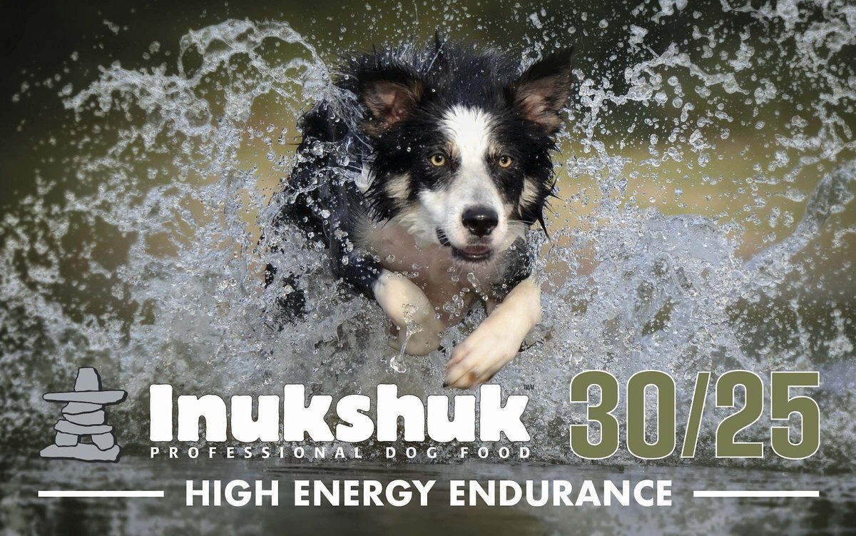 INUKSHUK Professional Dry Dog Food 30/25, 33-lb bag - Chewy.com