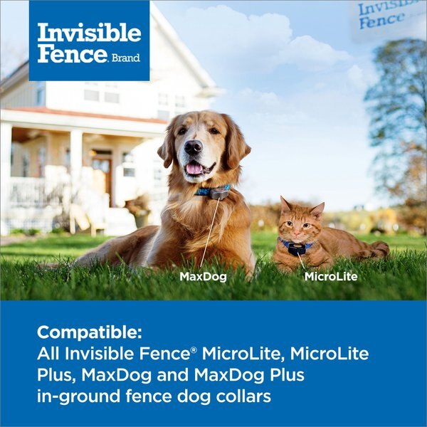 INVISIBLE FENCE Single Invisible Fence Battery - Chewy.com