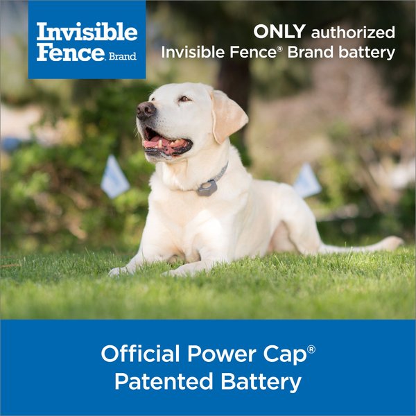 INVISIBLE FENCE Single Invisible Fence Battery - Chewy.com