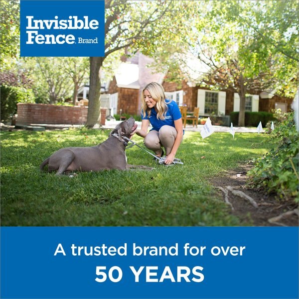 INVISIBLE FENCE Single Invisible Fence Battery - Chewy.com