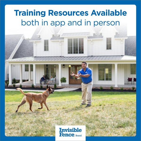 INVISIBLE FENCE Wireless GPS Dog Fence System & Tracking Collar, Gray ...