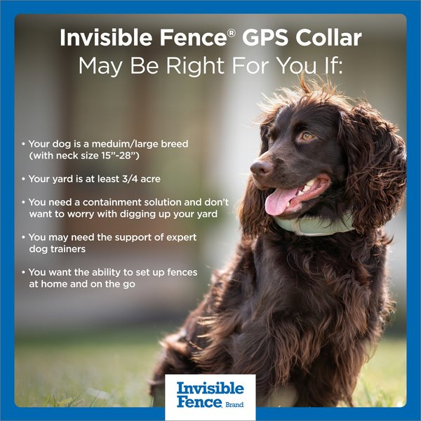 INVISIBLE FENCE Wireless GPS Dog Fence System & Tracking Collar, Gray ...