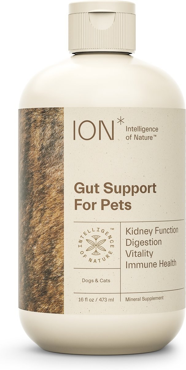ION* INTELLIGENCE OF NATURE Gut Support Digestive Aid Supplement for ...