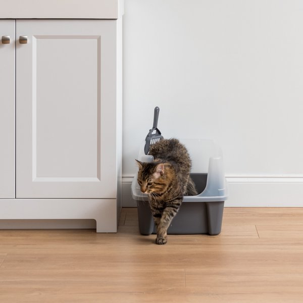 IRIS Large Cat Litter Box with Scatter Shield & Scoop, Dark Gray ...