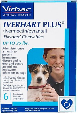 Heartworm Medicine for Dogs: Dog Heartworm Prevention (Ships Free ...