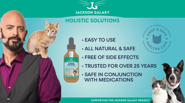 JACKSON GALAXY SOLUTIONS Solutions Easy Breather Medicine for ...