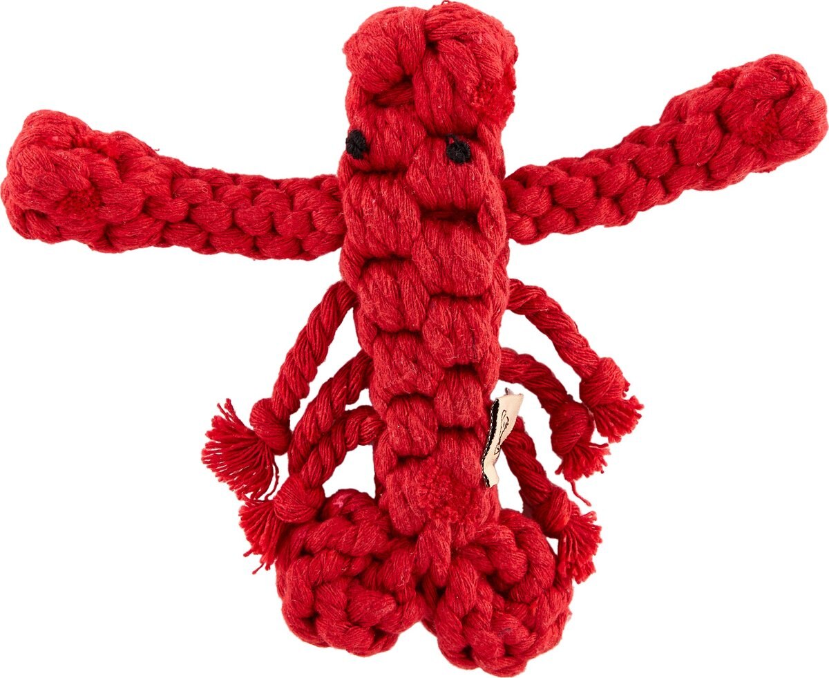 JAX AND BONES Louie the Lobster Rope Dog Toy, Large - Chewy.com