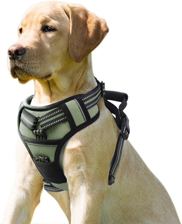 LARGE DOG HARNESSES (Free Shipping) | Chewy