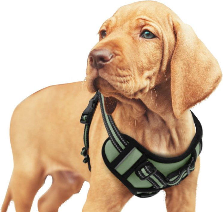 SMALL BREED DOG HARNESSES (Free Shipping) | Chewy