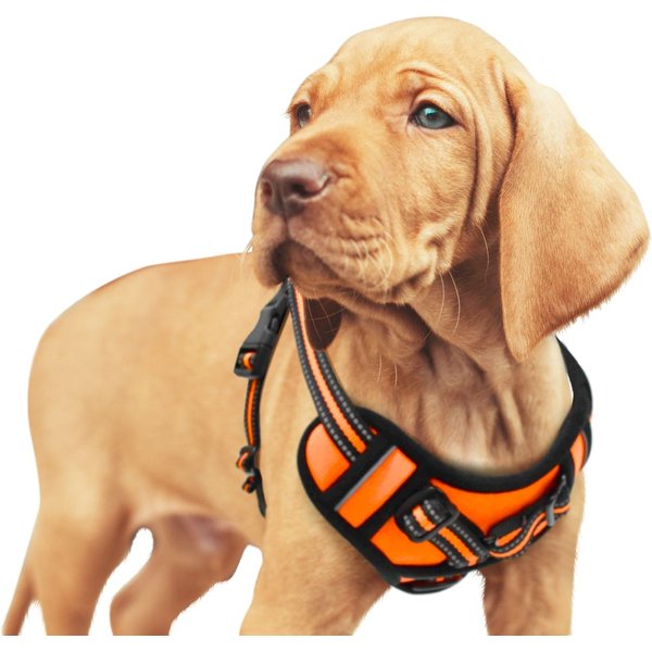COMFORTFLEX Fully Padded Non-Chafing Reflective Sport Dog Harness ...