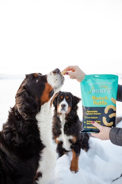 Discontinued - JIMINY'S Nooch Puffs Sustainable Hypoallergenic Dog ...