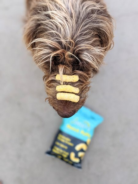 Discontinued - JIMINY'S Nooch Puffs Sustainable Hypoallergenic Dog ...