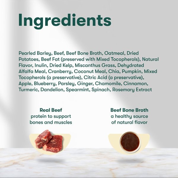 JINX Beef & Bone Broth Biscuits Crunchy Dog Treats, 16-oz bag - Chewy.com