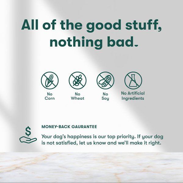 JINX Beef & Bone Broth Biscuits Crunchy Dog Treats, 16-oz bag - Chewy.com