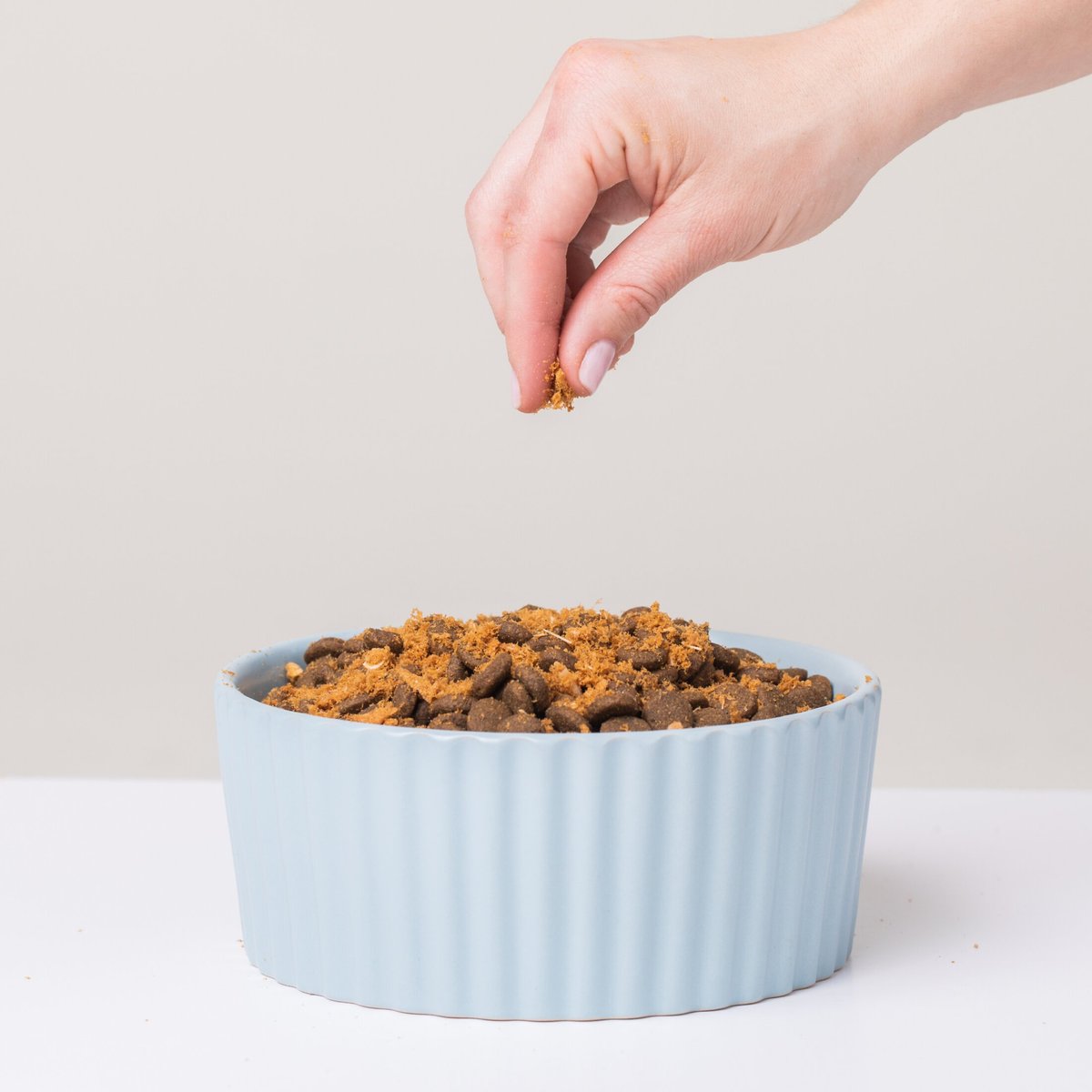 JINX Freeze-Dried Salmon Dry Dog Food Topper, 3-oz bag - Chewy.com