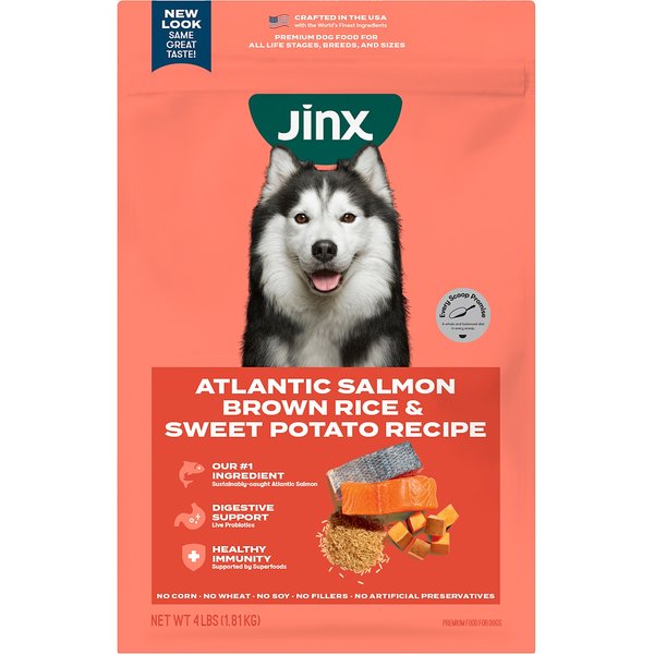 JINX Salmon, Brown Rice & Sweet Potato ALS Kibble Dog Dry Food, 4-lb ...