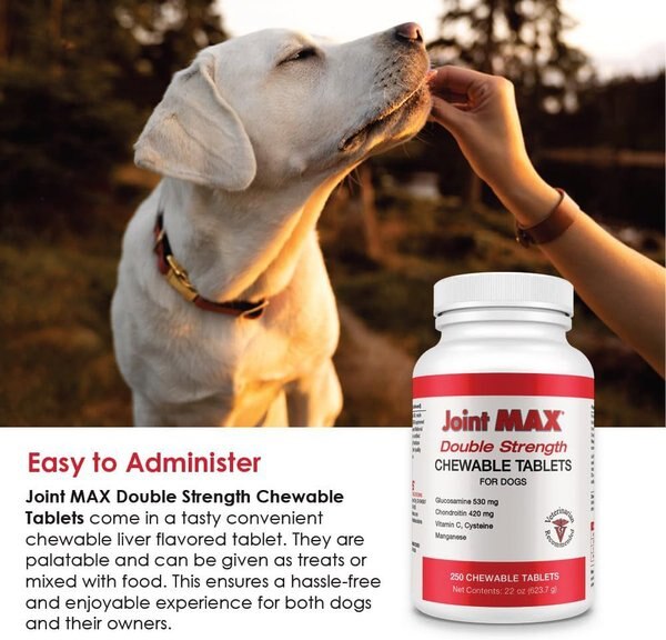 JOINT MAX Double Strength Chewable Tablets for Large Dogs, 250 count ...