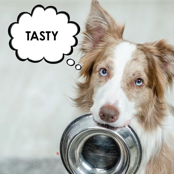 JOINT MAX Triple Strength Granules for Dogs, 120 doses - Chewy.com