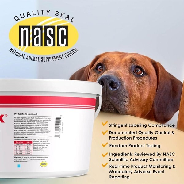 JOINT MAX Triple Strength Soft Chews for Dogs, 240 count - Chewy.com