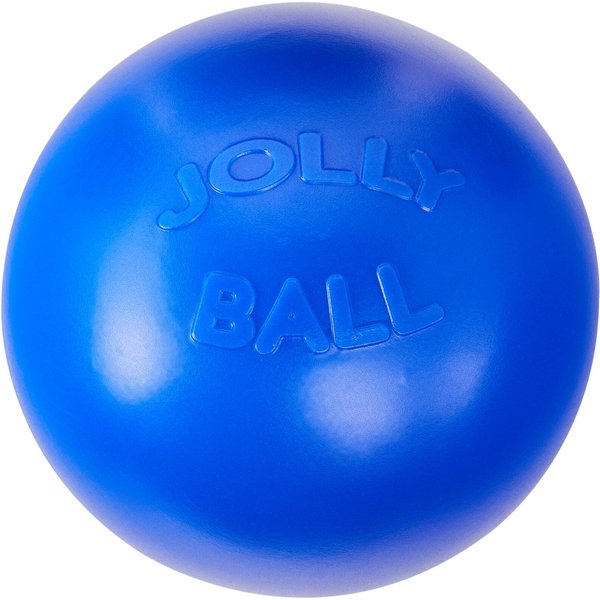 JOLLY PETS 10" Push-n-Play Ball Dog Toy, Blue - Chewy.com