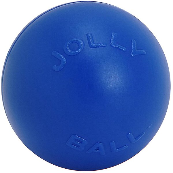 JOLLY PETS 14" Push-n-Play Dog Toy, Blue - Chewy.com