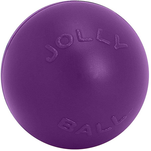 JOLLY PETS 14" Push-n-Play Dog Toy, Purple - Chewy.com