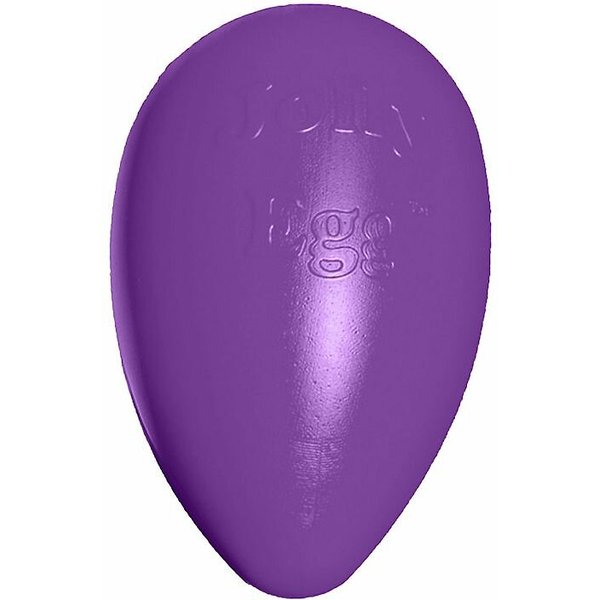JOLLY PETS Jolly Egg Dog Toy, Purple, 12-in - Chewy.com