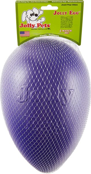 JOLLY PETS Jolly Egg Dog Toy, Purple, 12-in - Chewy.com