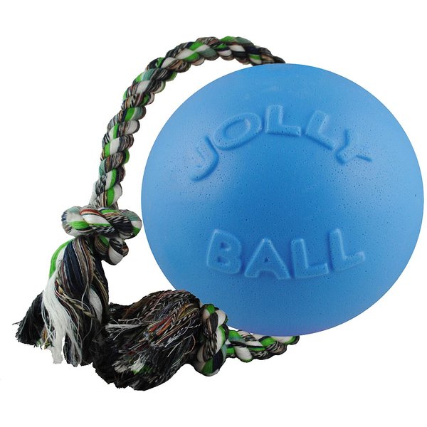 JOLLY PETS Romp-n-Roll Dog Toy, Blueberry, 8-in - Chewy.com