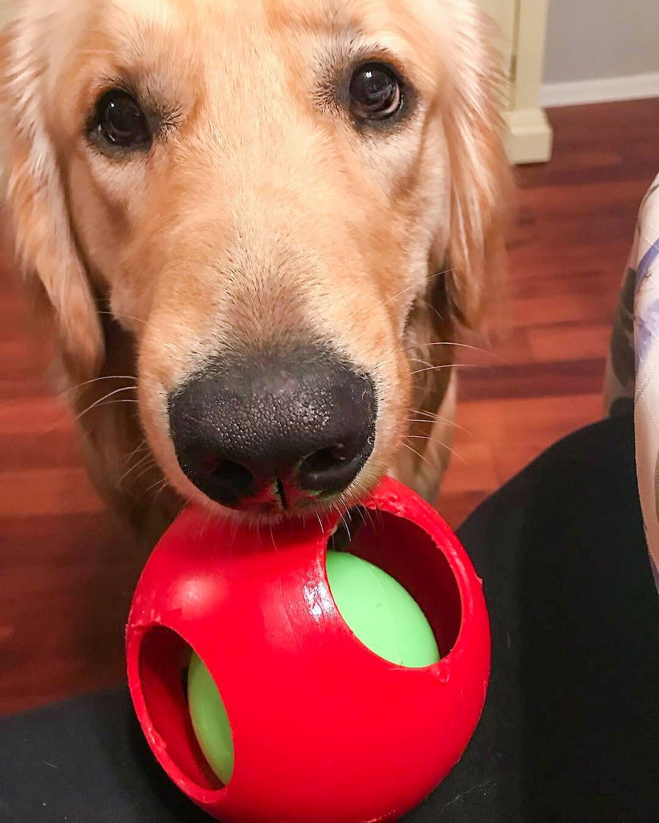 JOLLY PETS Teaser Ball Dog Toy, Red, 4.5-in - Chewy.com