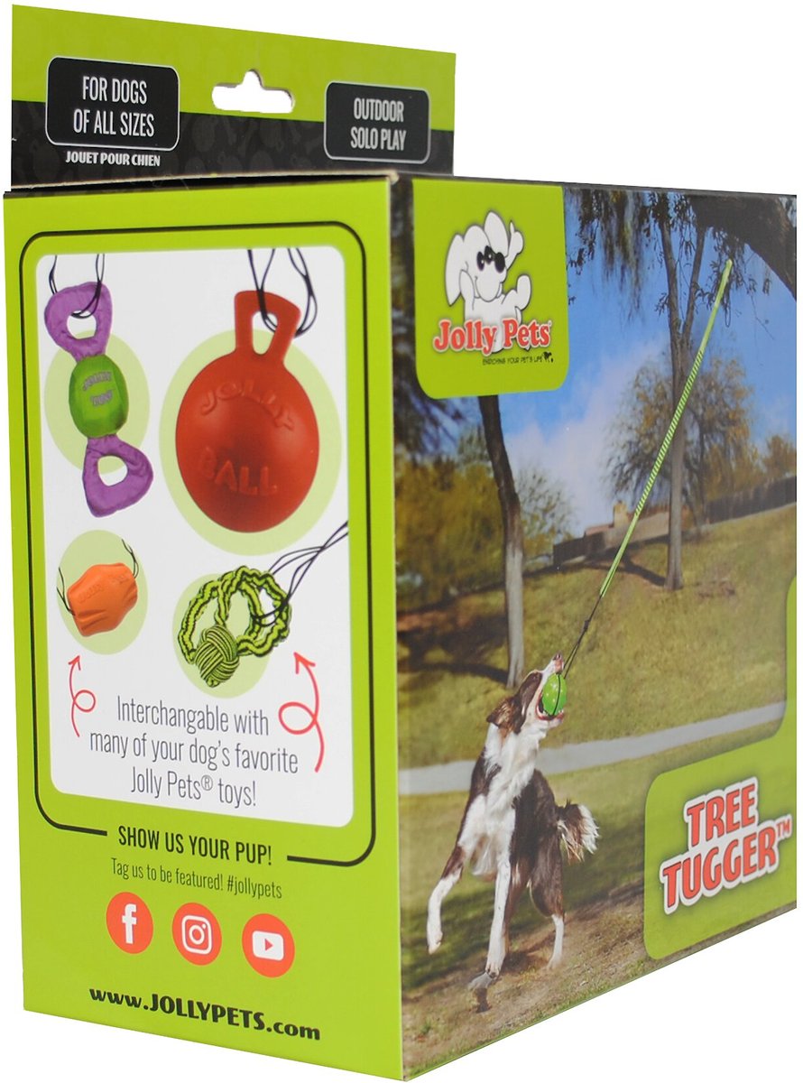 JOLLY PETS Tree Tugger Rope Tug Dog Toy - Chewy.com