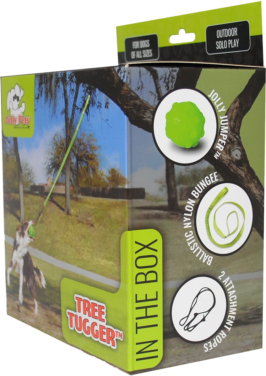 JOLLY PETS Tree Tugger Rope Tug Dog Toy - Chewy.com