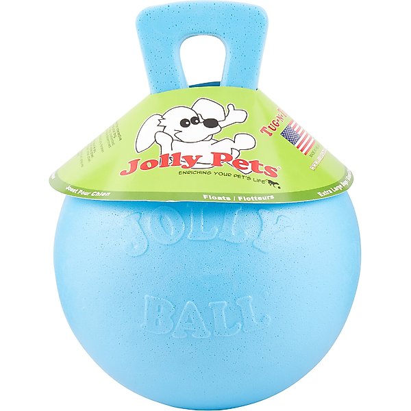 JOLLY PETS Tug-n-Toss Dog Toy, Orange, 10-in - Chewy.com