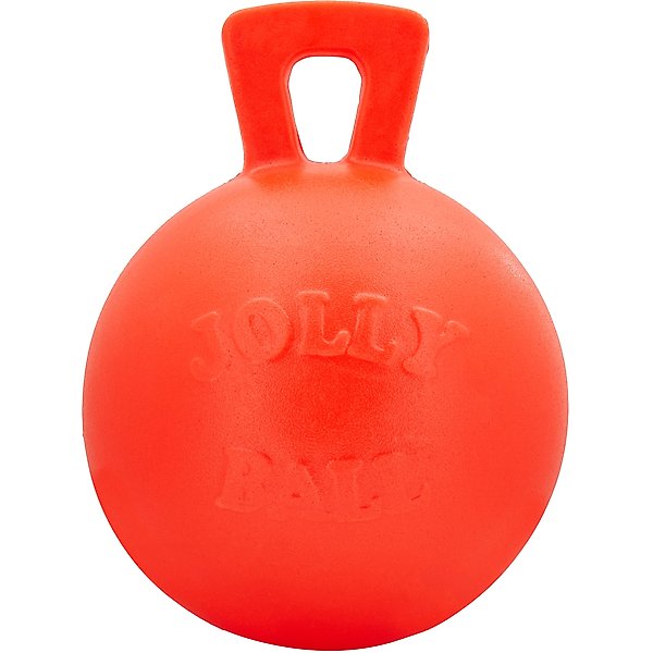 JOLLY PETS 14" Push-n-Play Dog Toy, Red - Chewy.com