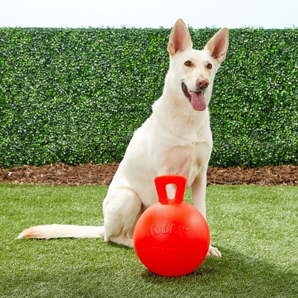 JOLLY PETS Tug-n-Toss Dog Toy, Orange, 10-in - Chewy.com