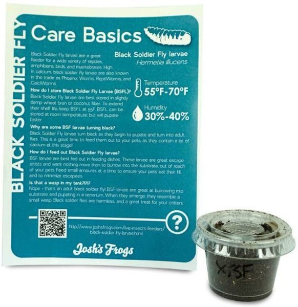 JOSH'S FROGS Dart Frog Feeder Bundle - Chewy.com