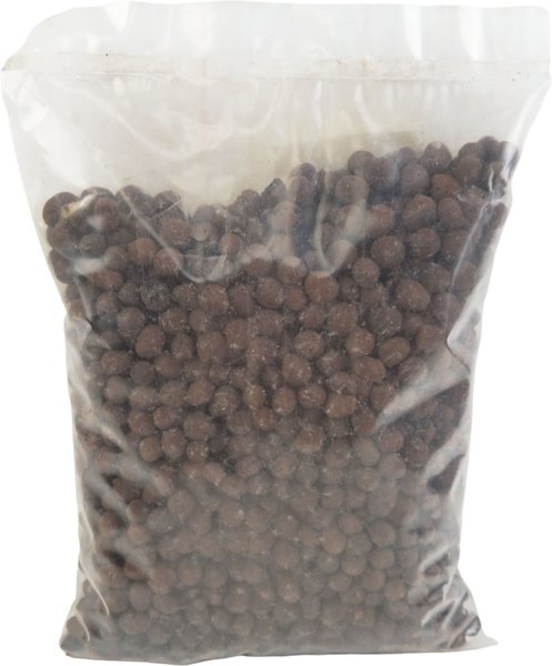 JOSH'S FROGS False Bottom LECA Reptile Substrate, 4-qt bag - Chewy.com