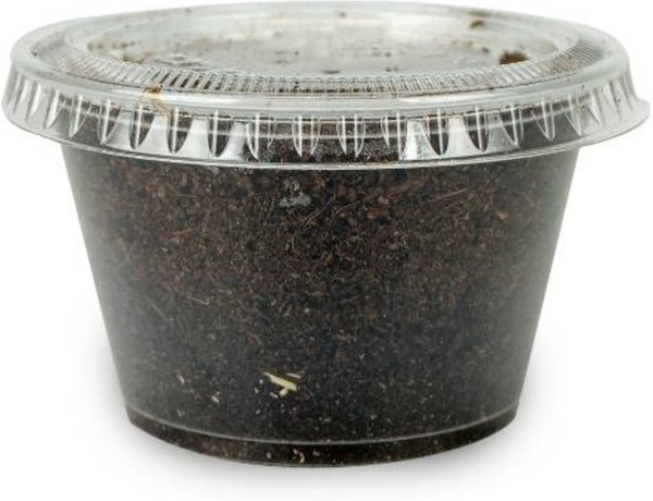 Out of Stock - JOSH'S FROGS Leopard Gecko Feeder Bundle, Adult - Chewy.com