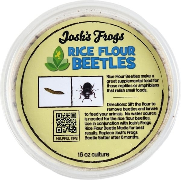 JOSH'S FROGS Rice Flour Beetle Culture Live Feed Reptile Food, 16-oz ...