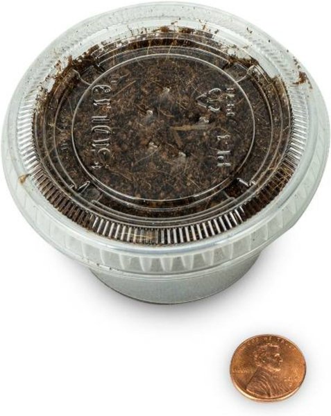 JOSH'S FROGS Tree Frog Feeder Bundle, Adult - Chewy.com