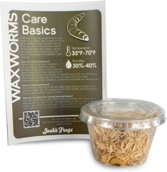 JOSH'S FROGS Tree Frog Feeder Bundle, Adult - Chewy.com