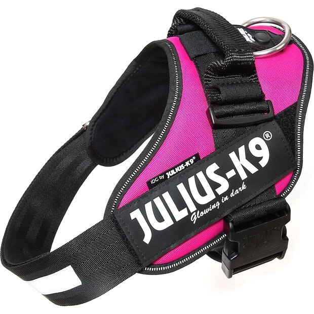 PINK DOG HARNESSES (Free Shipping) | Chewy