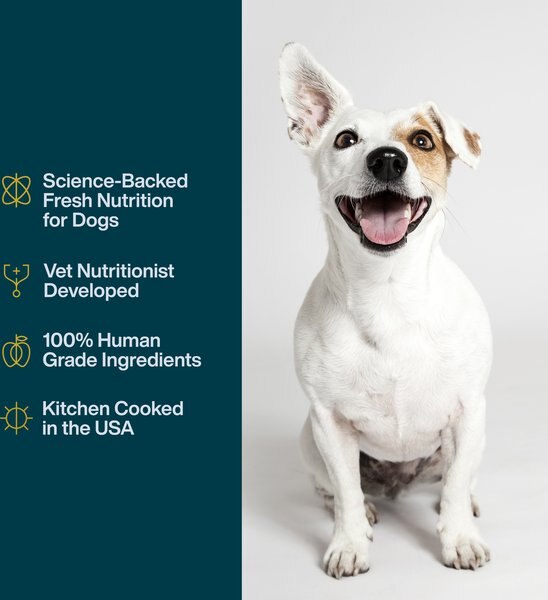 JUSTFOODFORDOGS JustFresh Human Grade Home-Cooked Chicken Recipe Fresh ...