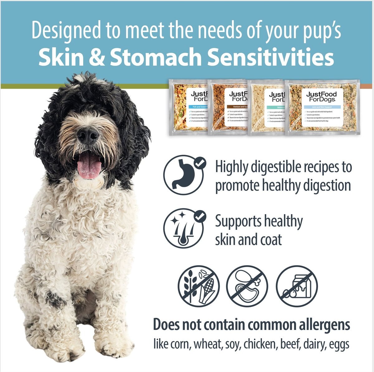 JUSTFOODFORDOGS Sensitive Skin & Stomach Variety Pack Human-Grade Fresh ...