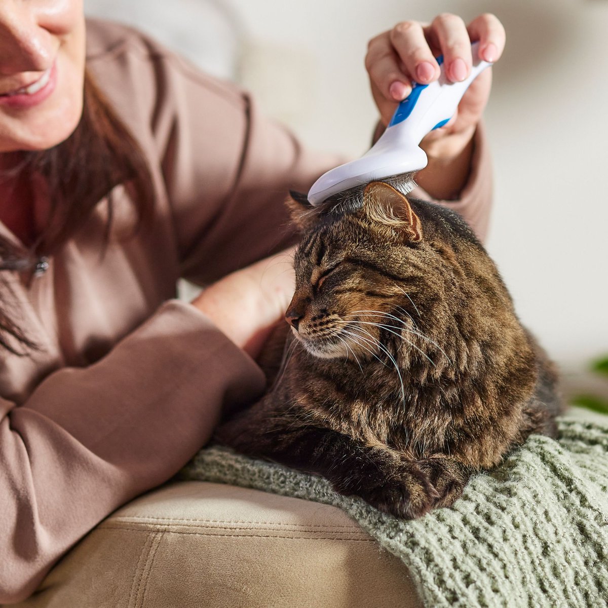 JW PET Gripsoft Cat Slicker Brush - Chewy.com