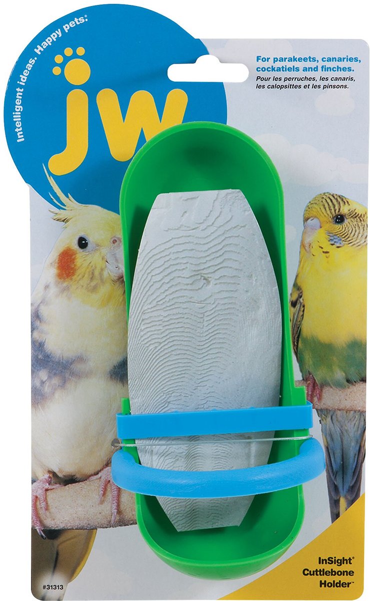 JW PET InSight Cuttlebone Holder Bird Toy, Regular - Chewy.com