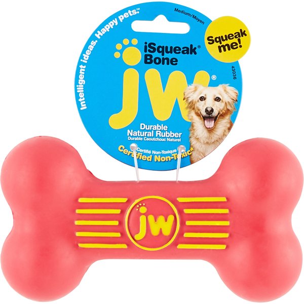 JW PET Chompion Dog Toy, Color Varies, Lightweight - Chewy.com